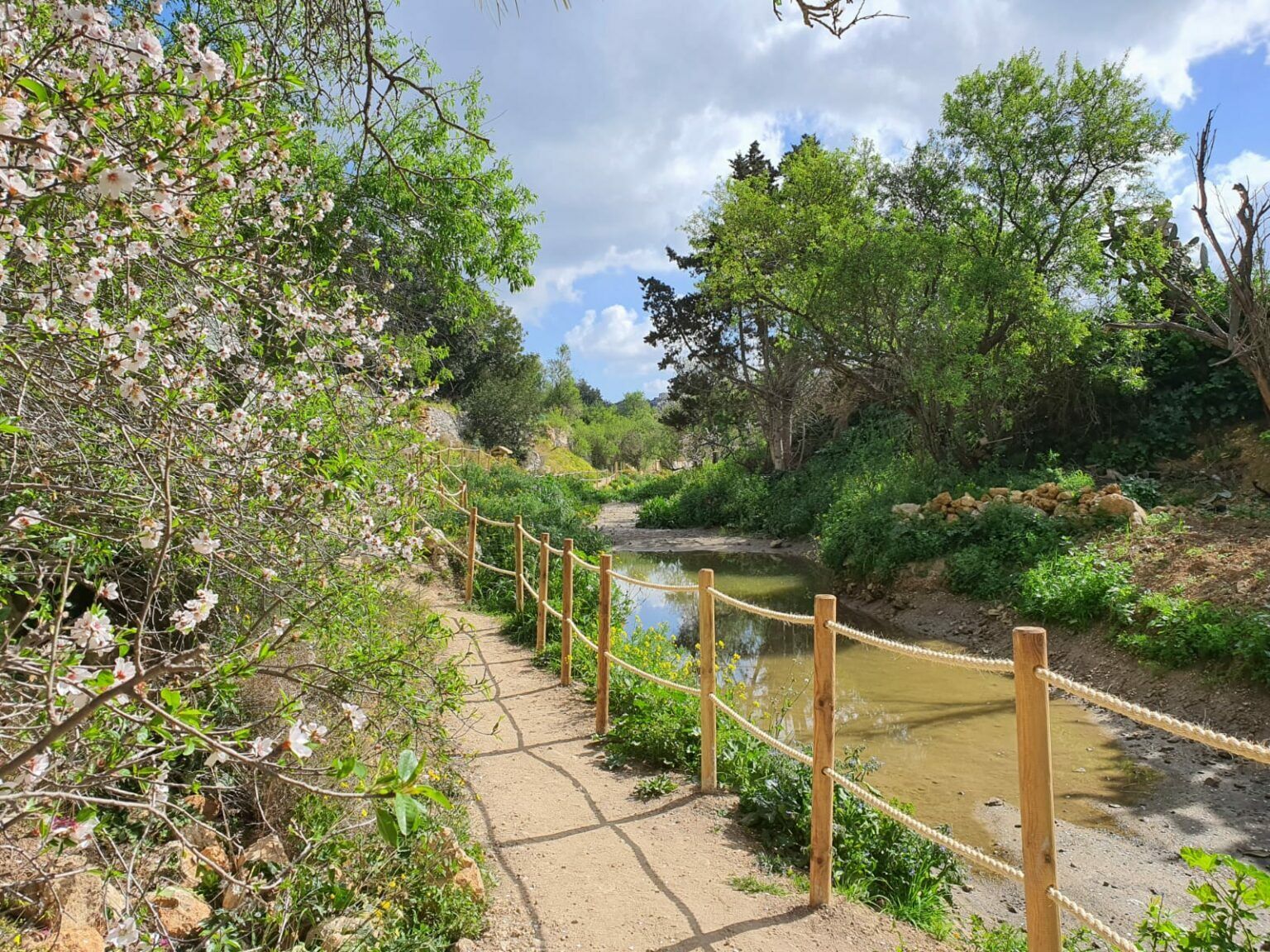 Fiddien / Chadwick Lakes Nature Reserve - Nature Trust - FEE Malta