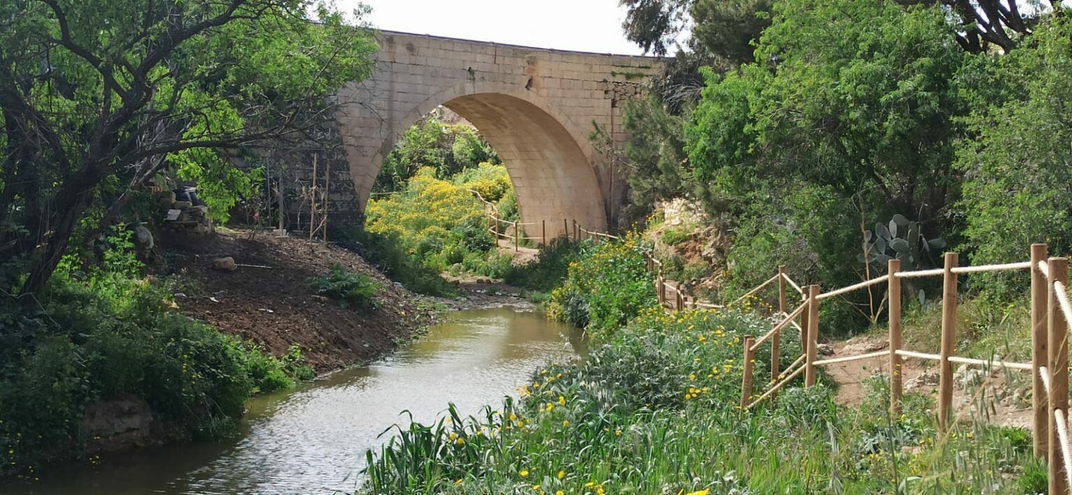 Fiddien / Chadwick Lakes Nature Reserve - Nature Trust - FEE Malta